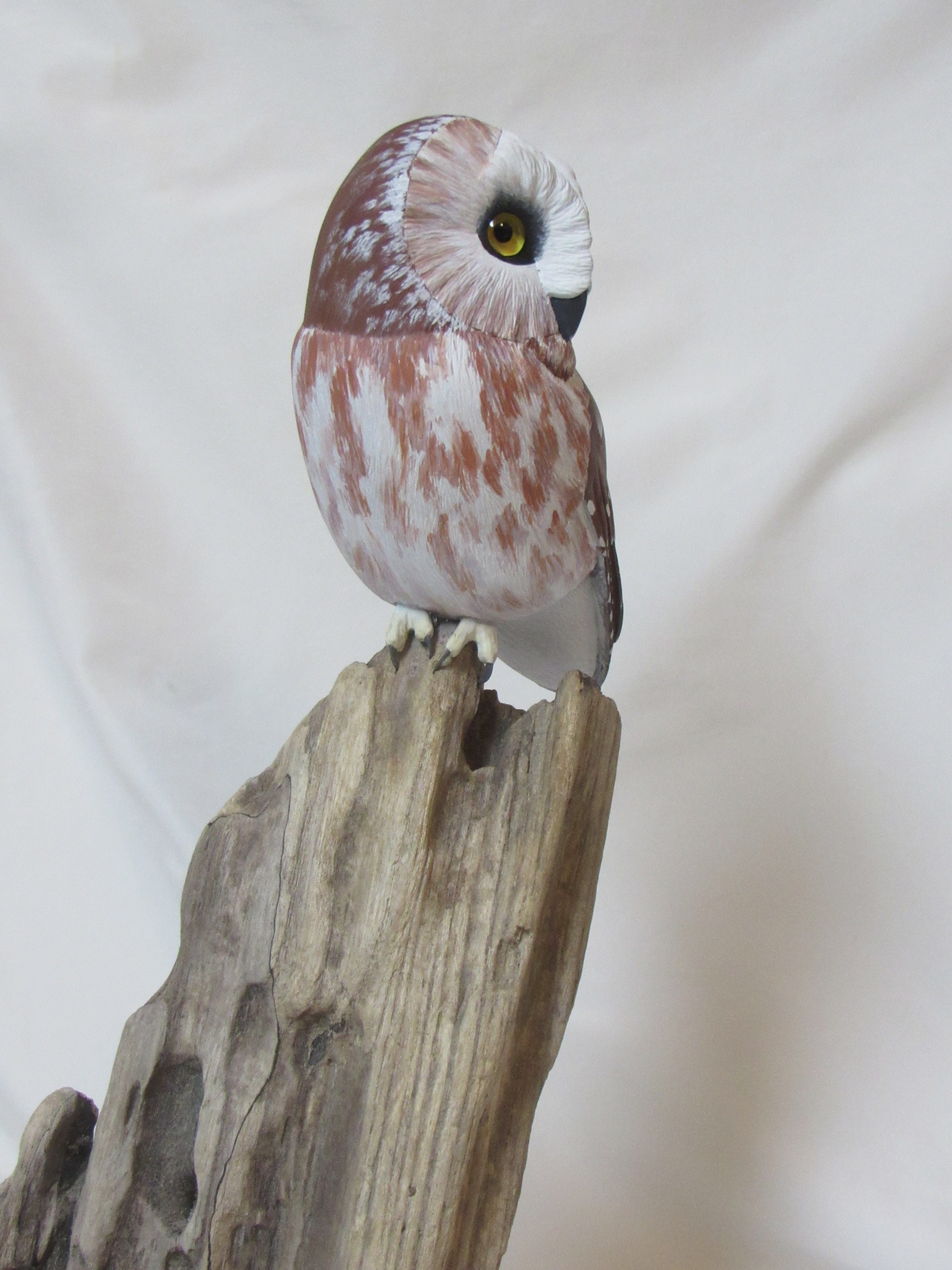 Life Size Saw-whet Owl Wood Carving Detailed Realistic Hand Painted ...