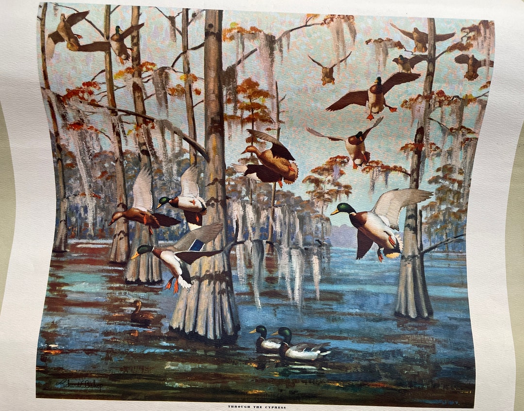 Vintage Wildlife Art, Vintage Game Bird Art, Vintage Richard E. Bishop ...