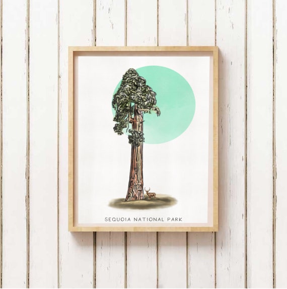 Sequoia National Park Poster Sequoia National Park Print - Etsy