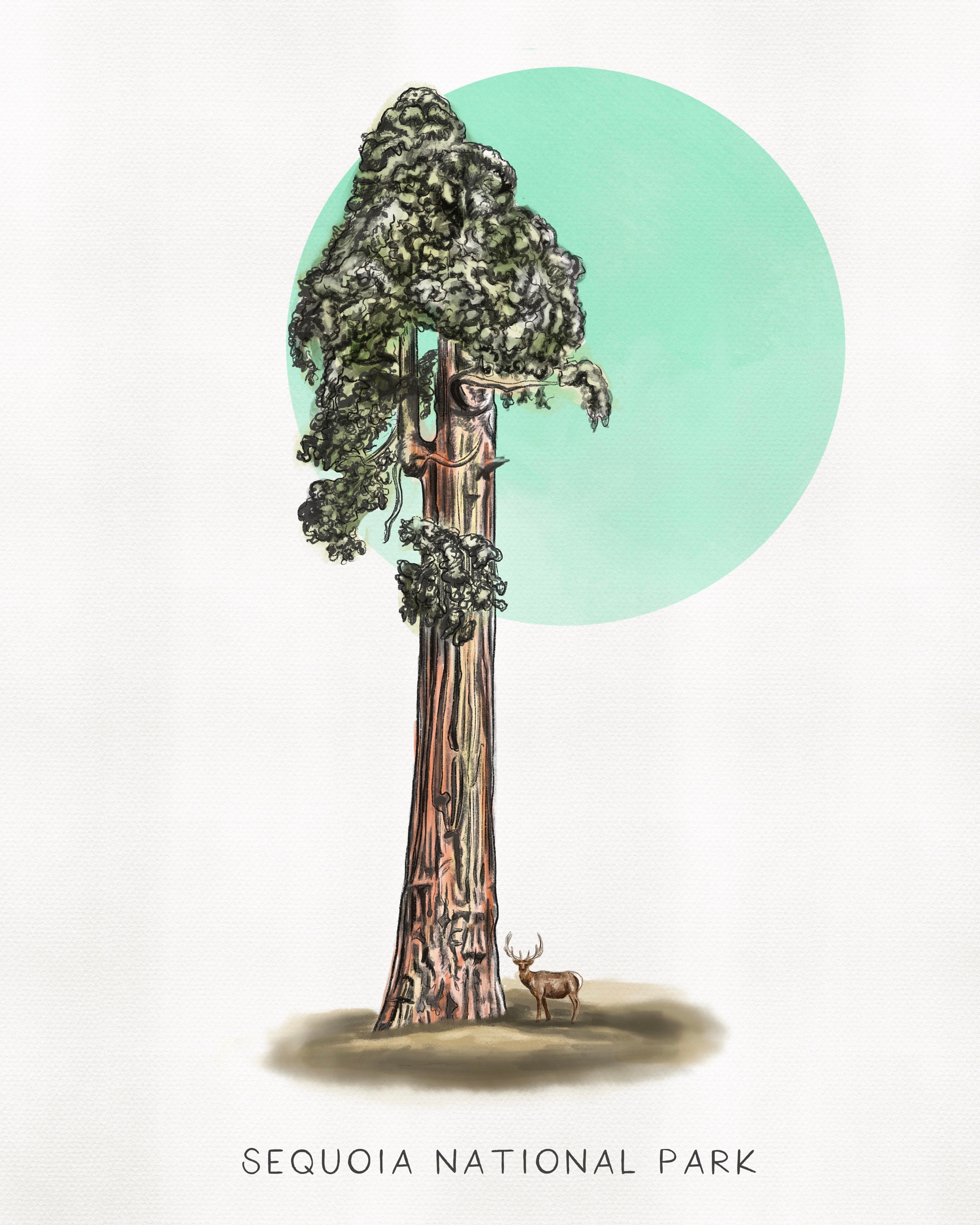 Sequoia National Park Poster Sequoia National Park Print - Etsy