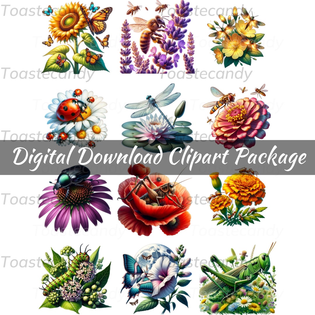 Summer Garden Bug and Flower Clip Art Set Insect Illustrations Floral ...