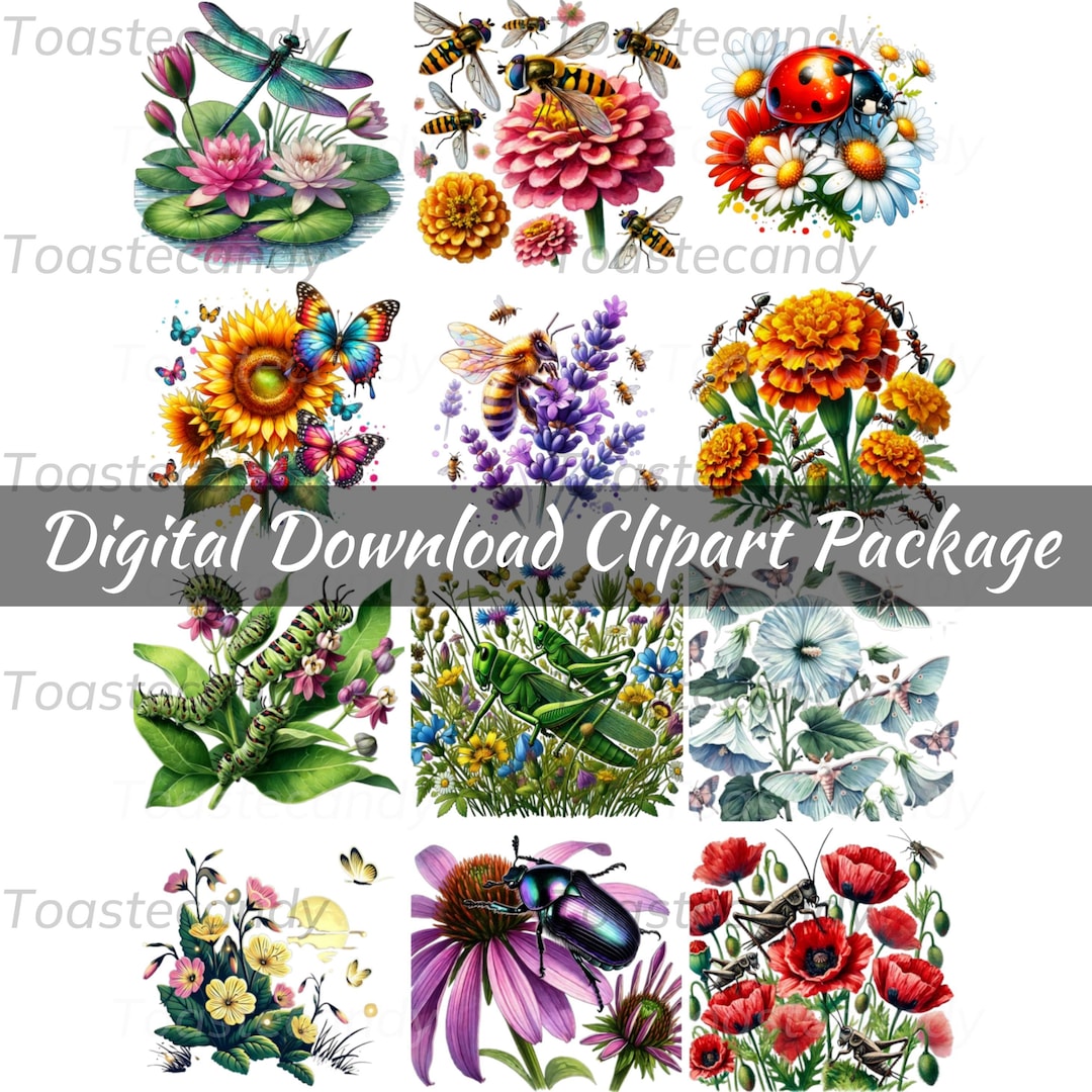 Watercolor Bugs and Blooms Clip Art Set (digital Download) - Etsy