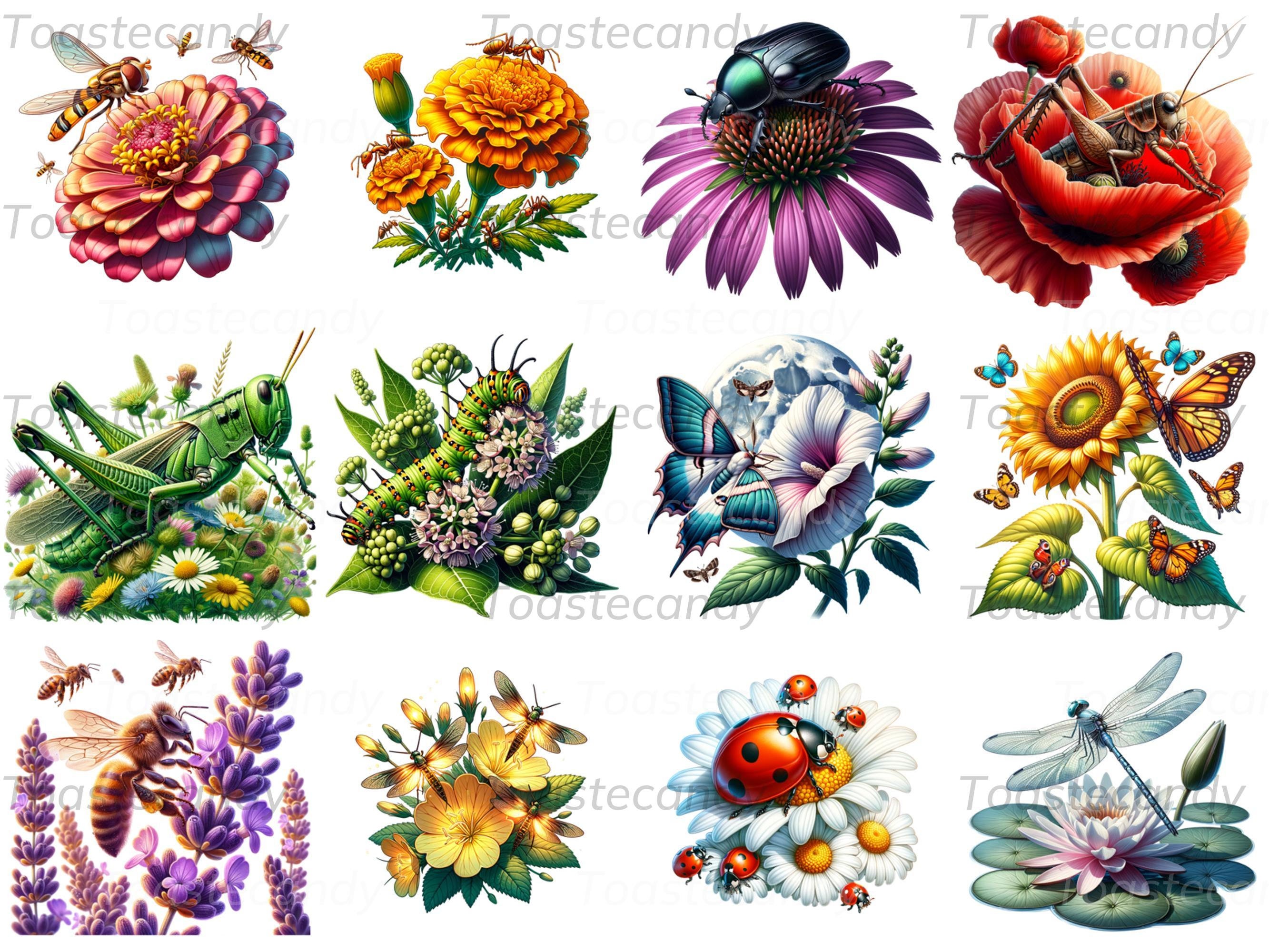 Summer Garden Bug and Flower Clip Art Set Insect Illustrations Floral ...