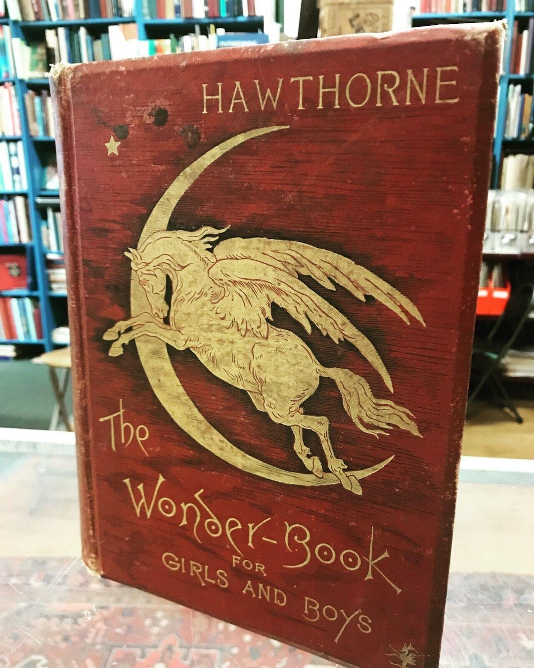 Hawthorne -the Wonder-book for Girls and Boys 1884 6th Edition. - Etsy