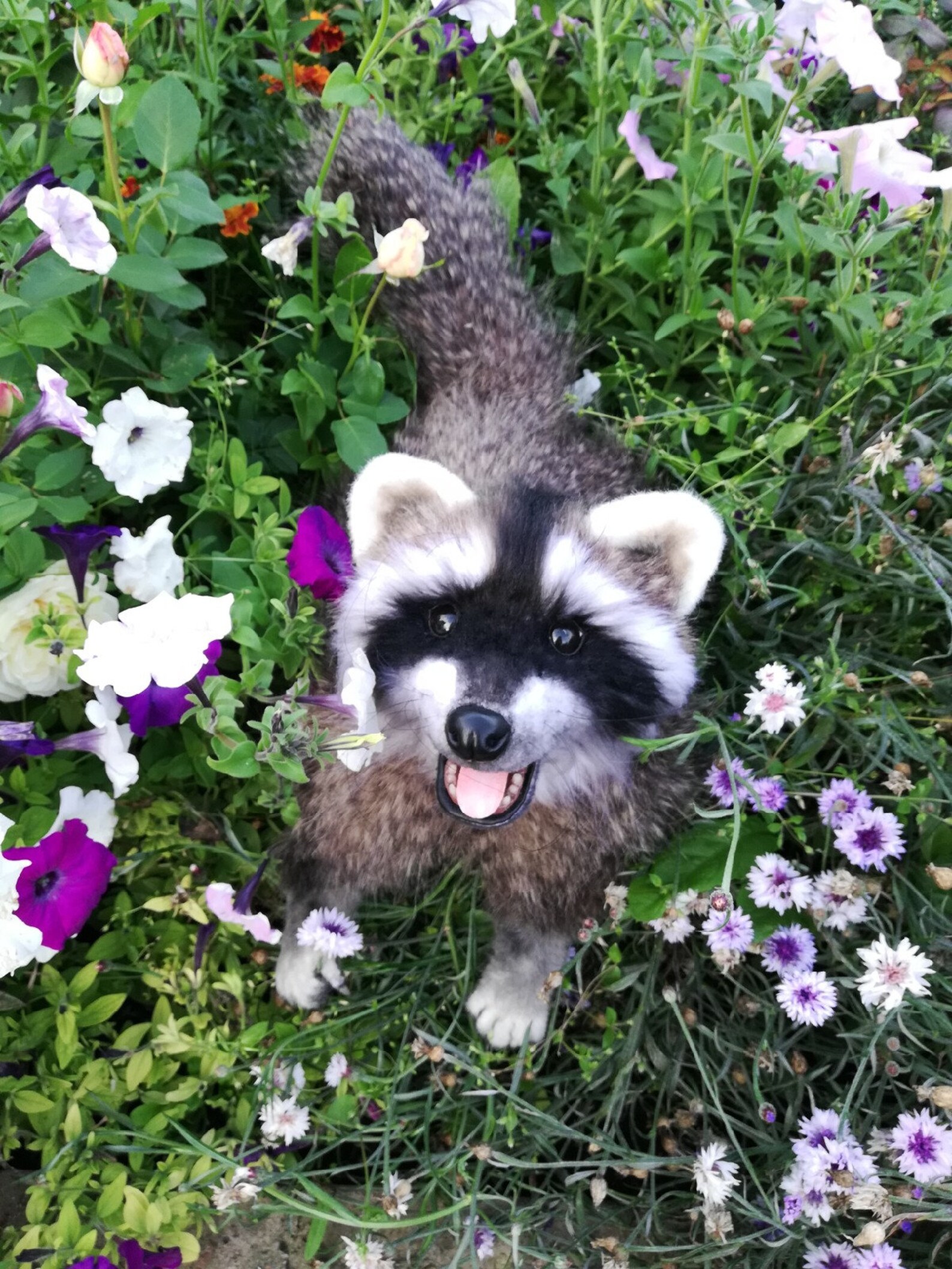 Realistic soft & plush toy: Stuffed raccoon. FOR ORDER. | Etsy