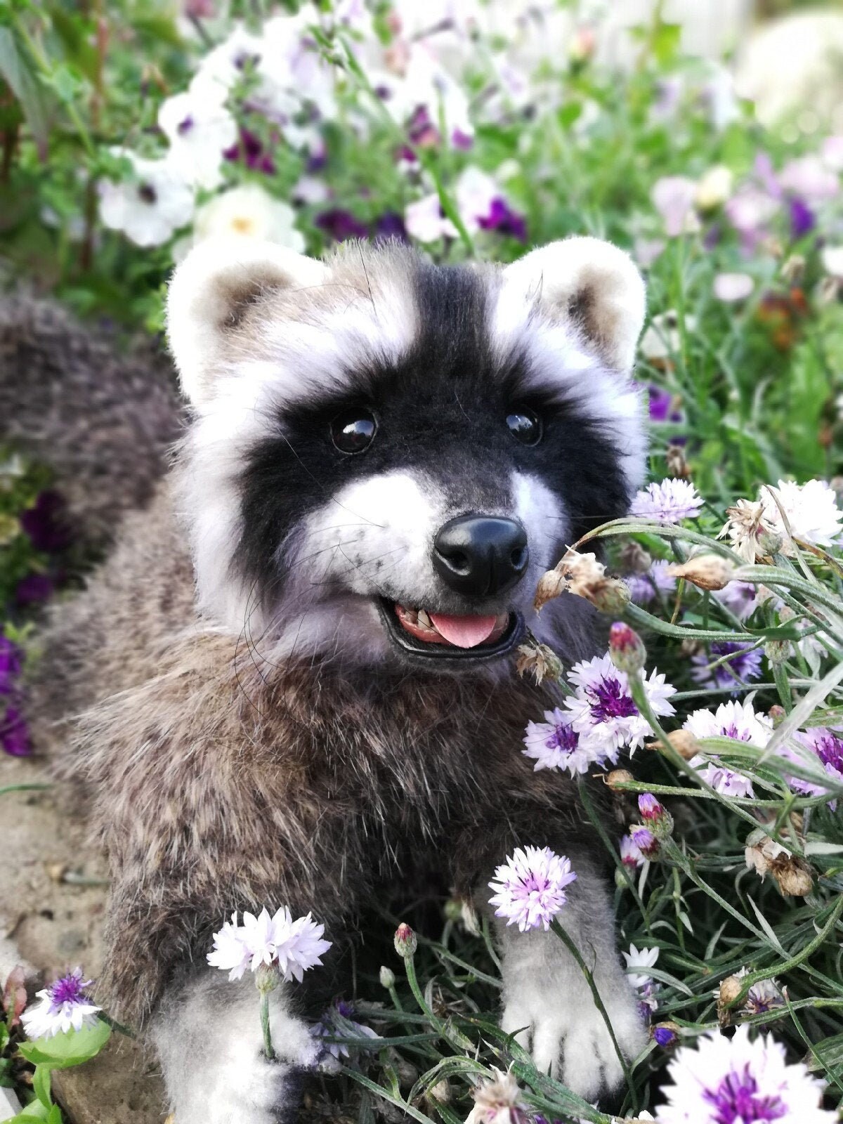 Realistic soft & plush toy: Stuffed raccoon. FOR ORDER. | Etsy