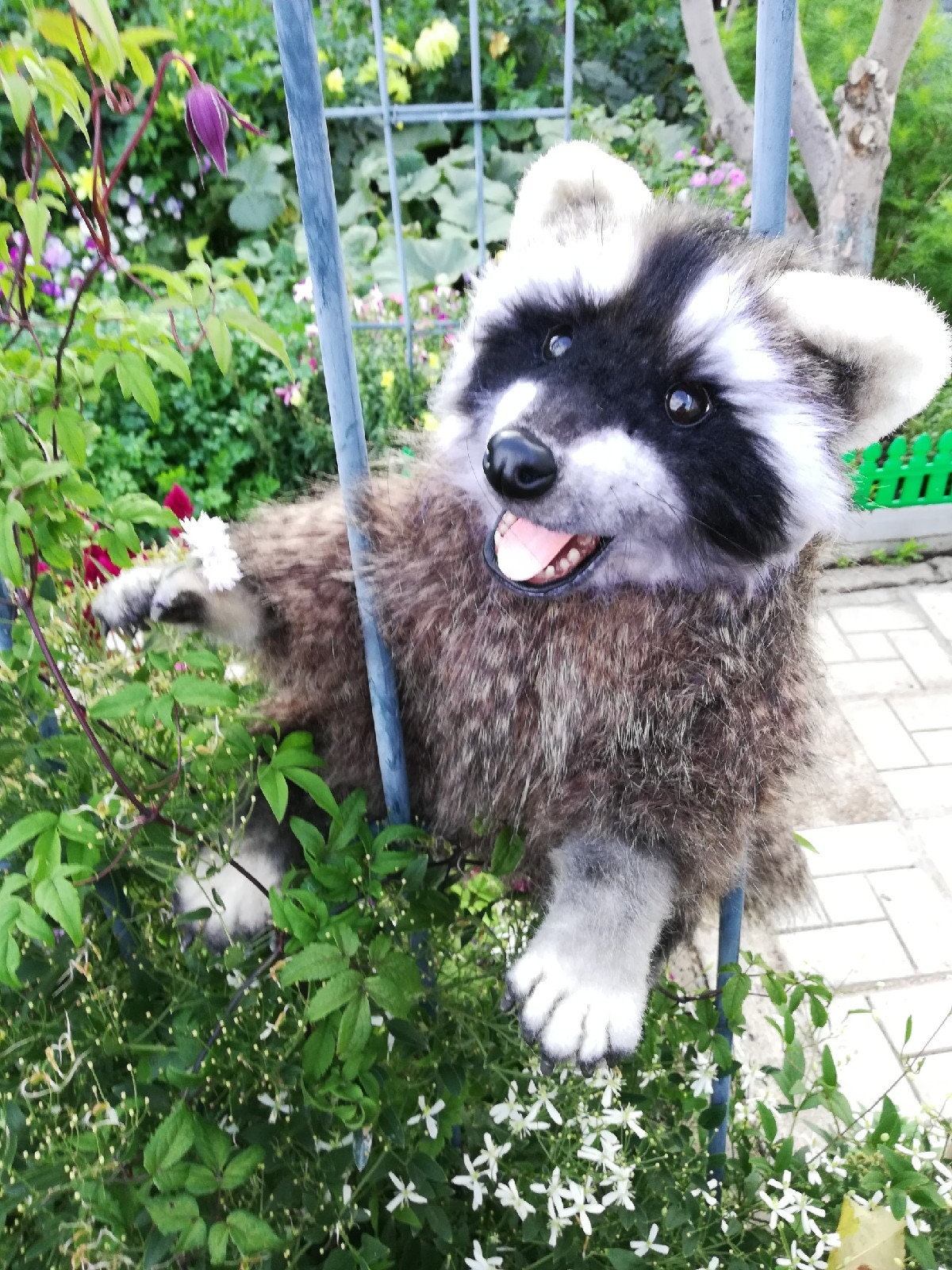 Realistic soft & plush toy: Stuffed raccoon. FOR ORDER. | Etsy