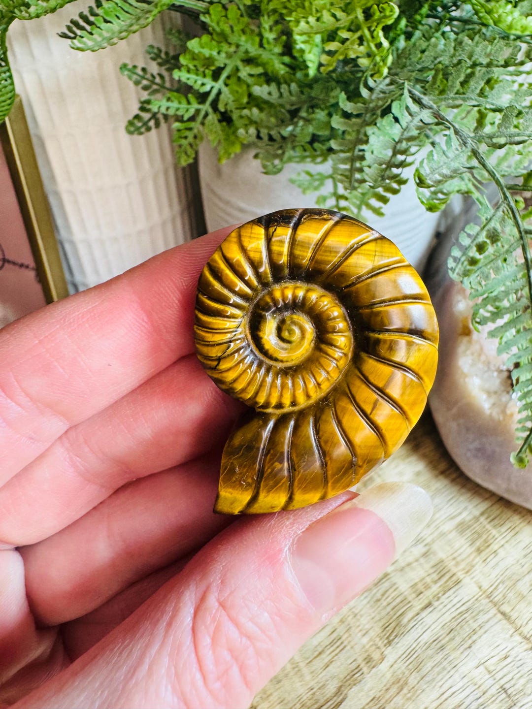 Tigers Eye Crystal Ammonite Fossil, Tigers Eye Crystal - Etsy