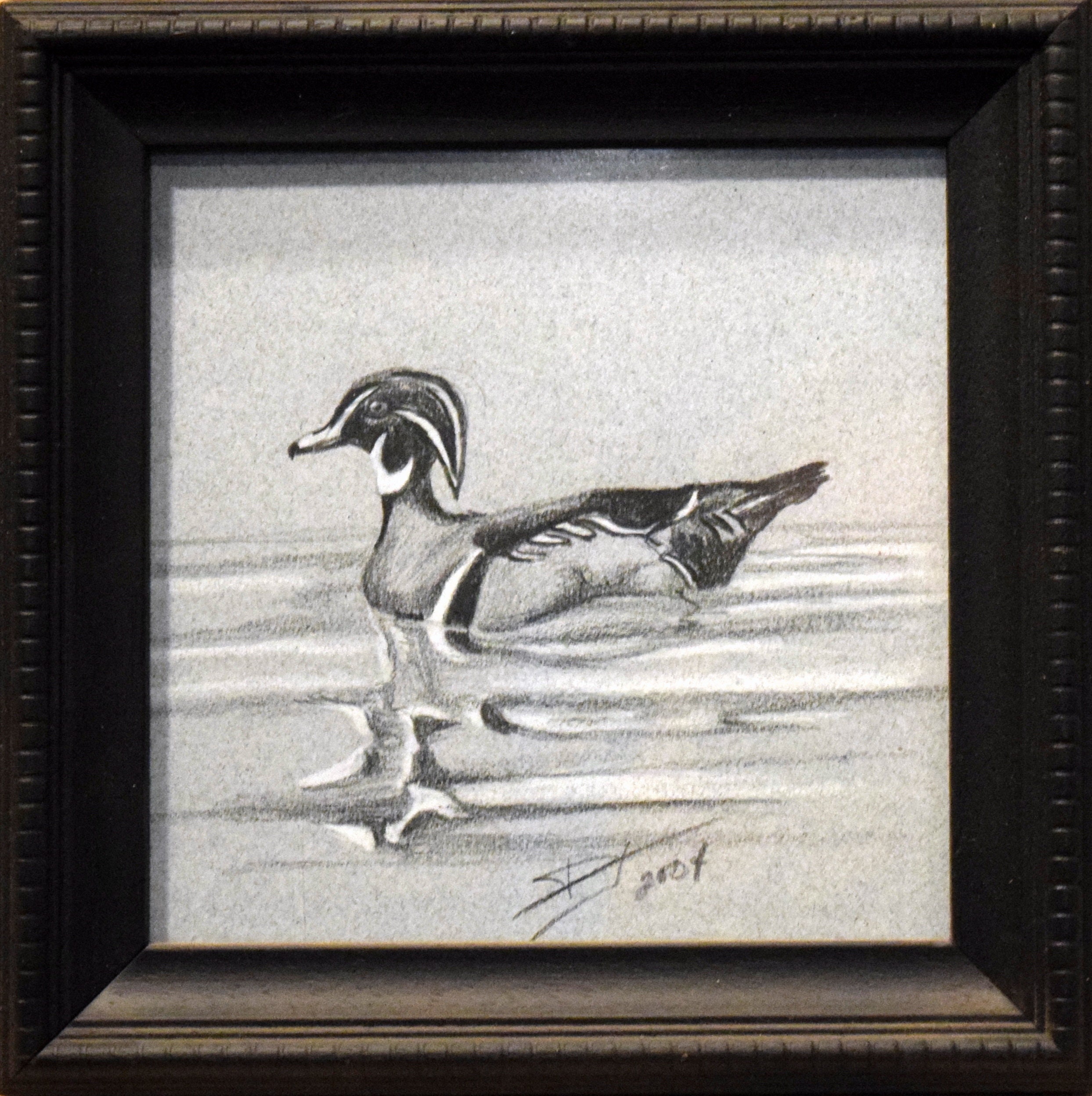 Duckling Swimming Drawing