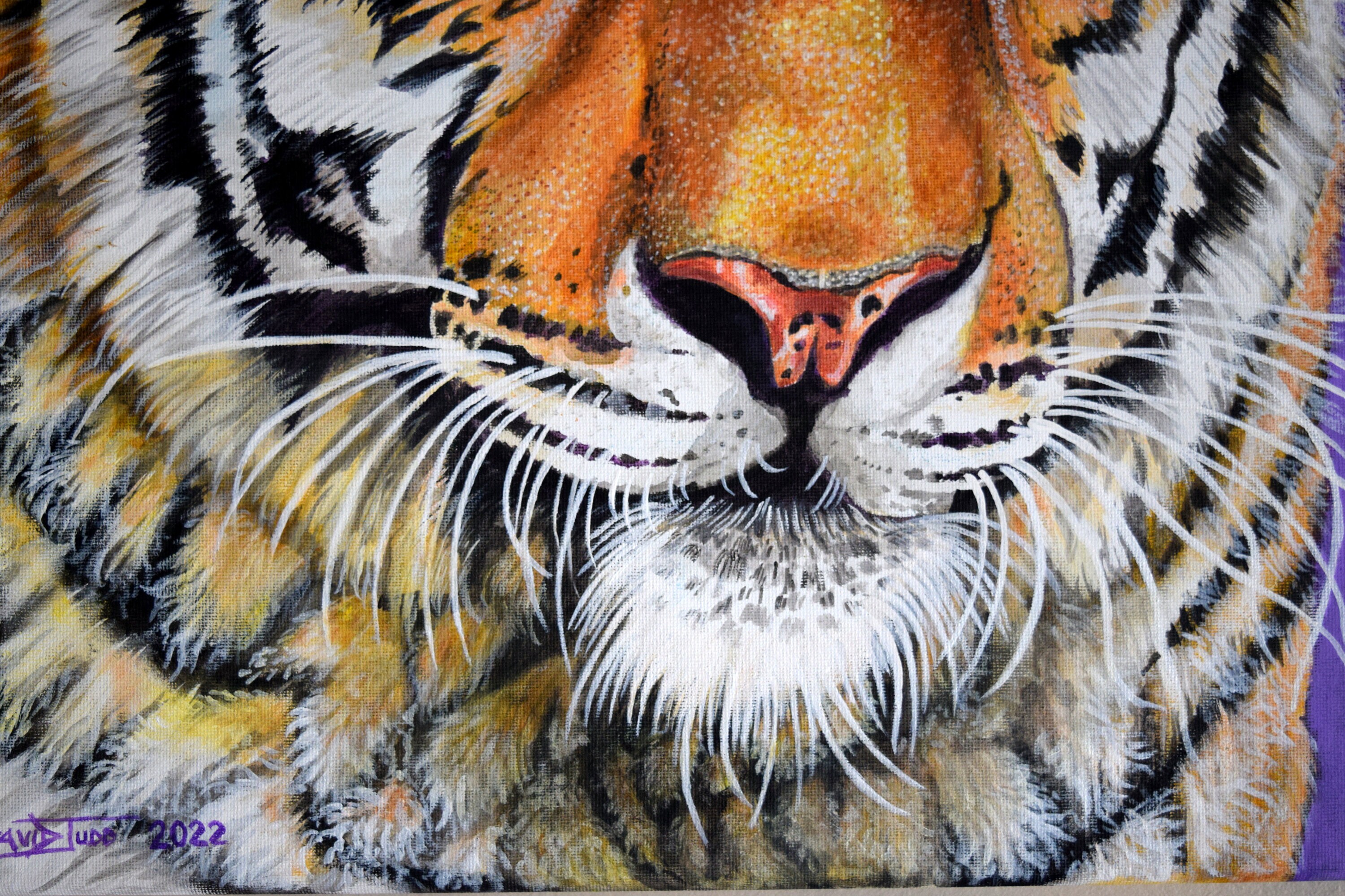 Tiger Face Painting Acrylic