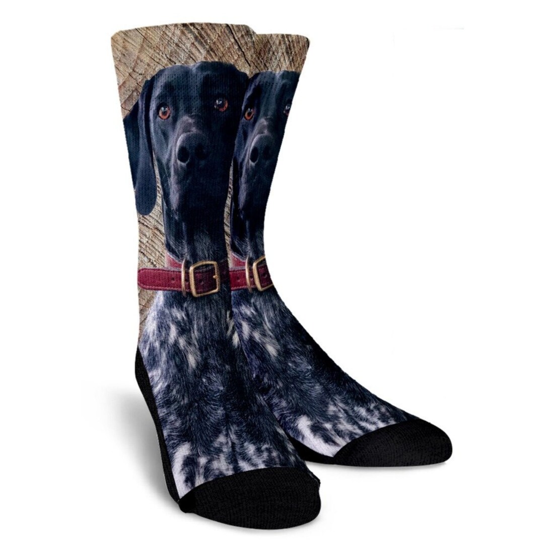 German Shorthaired Pointer Socks, Men's Socks, Women's Socks, Cool ...