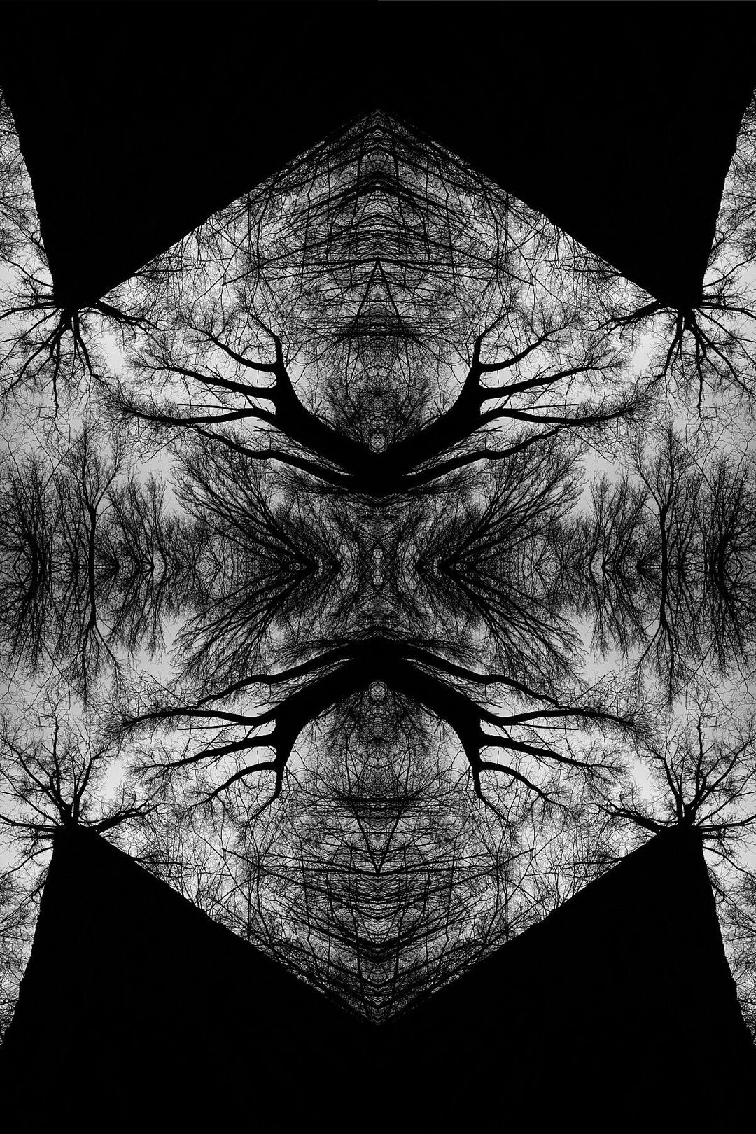 A Piece of Forest II 2024 - Etsy