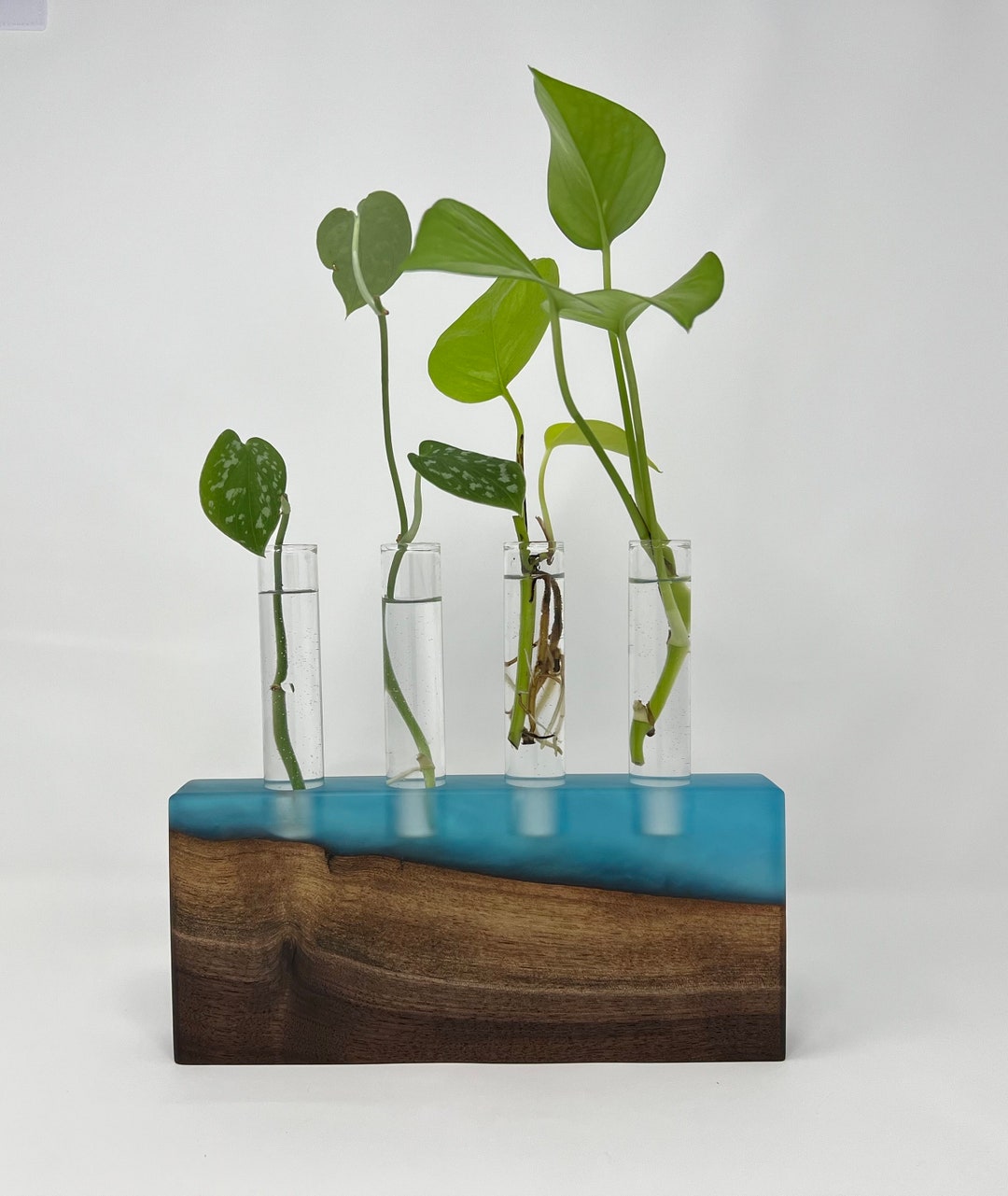 Plant Propagation Stand Bud Vase With Glass Tubes Handcrafted With Live ...