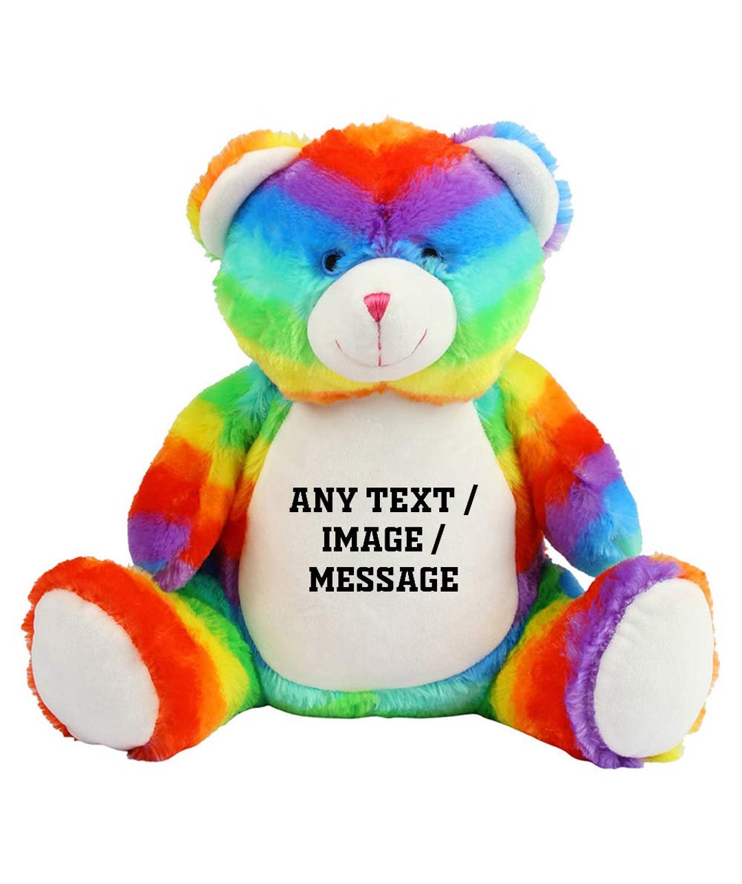 Personalised Teddy Bear With Your Own Text/image/message Rainbow Bear ...