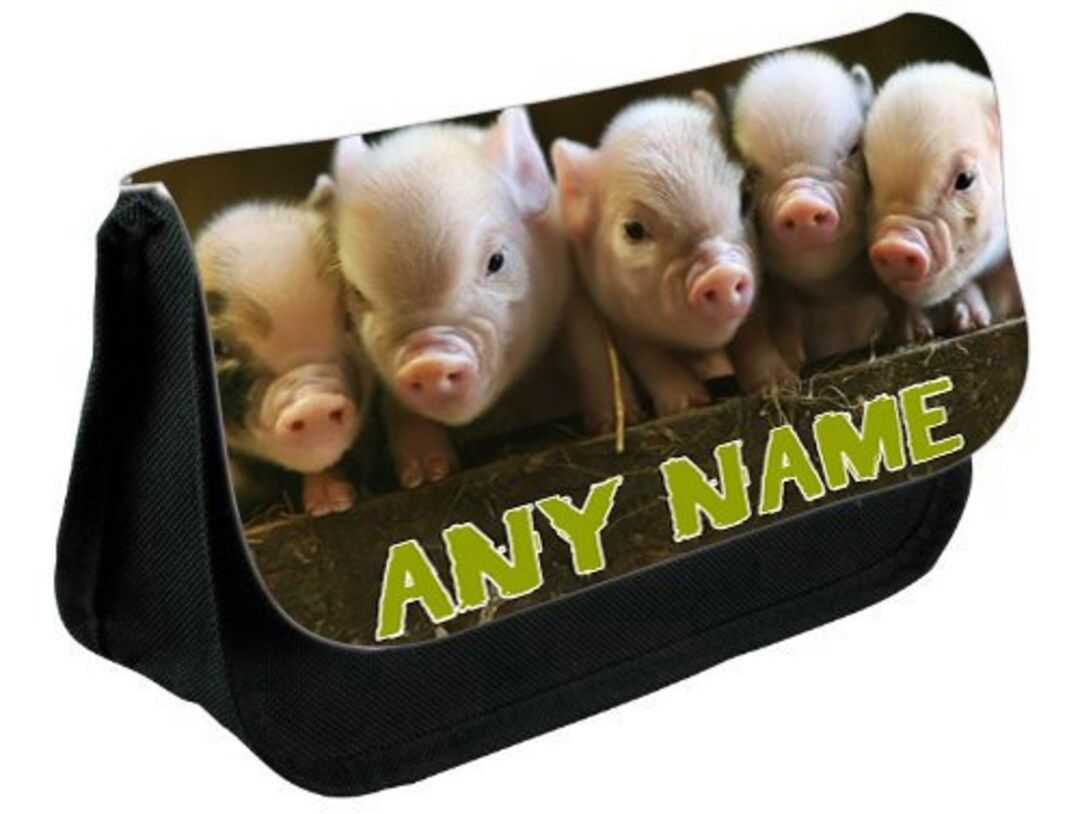 Personalize Pencil Case-baby Pig Gang,pencil Case..make up Case,back to ...