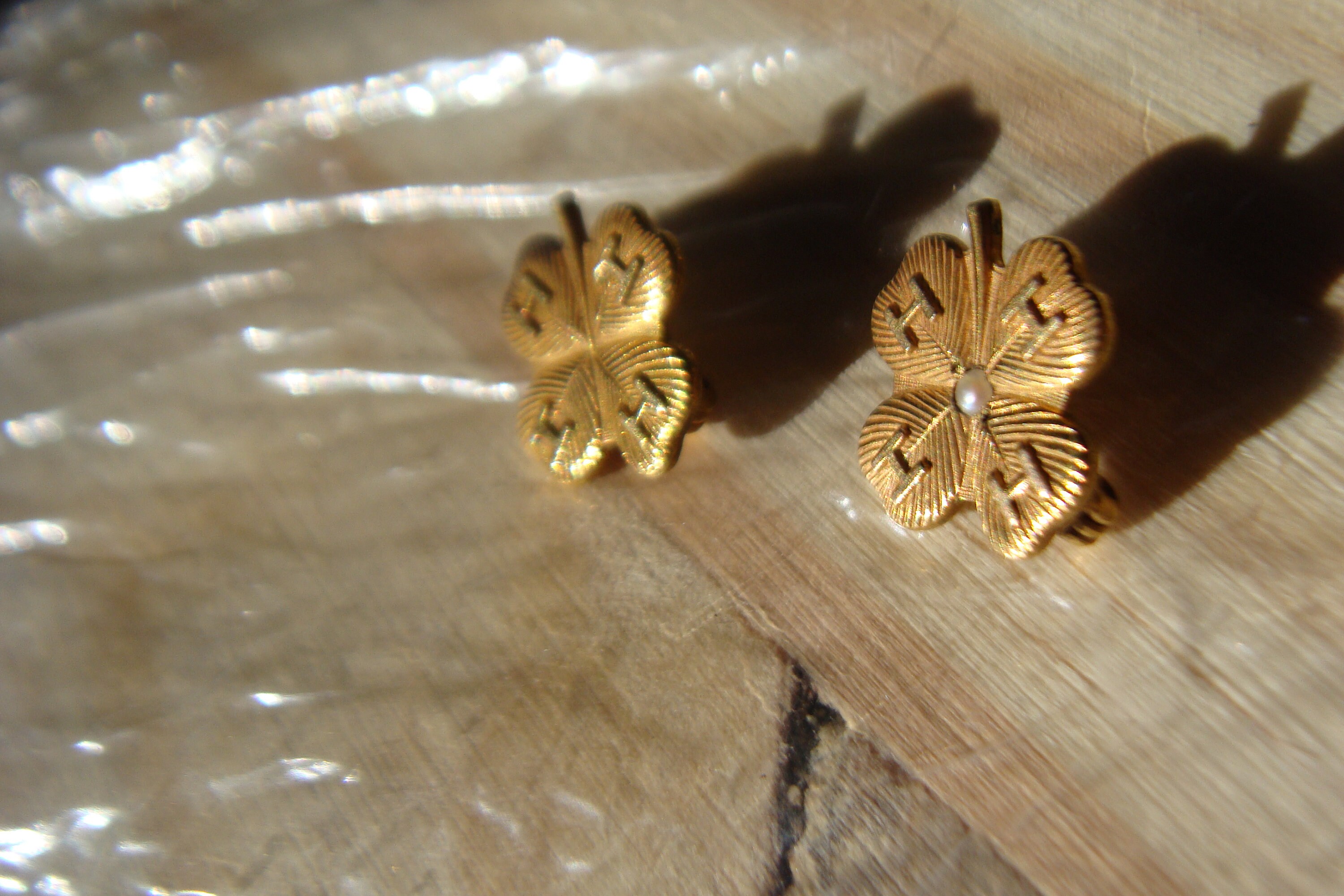 Pair 4 H Clover Pins Marked V10 10K One With Pearl in Box - Etsy