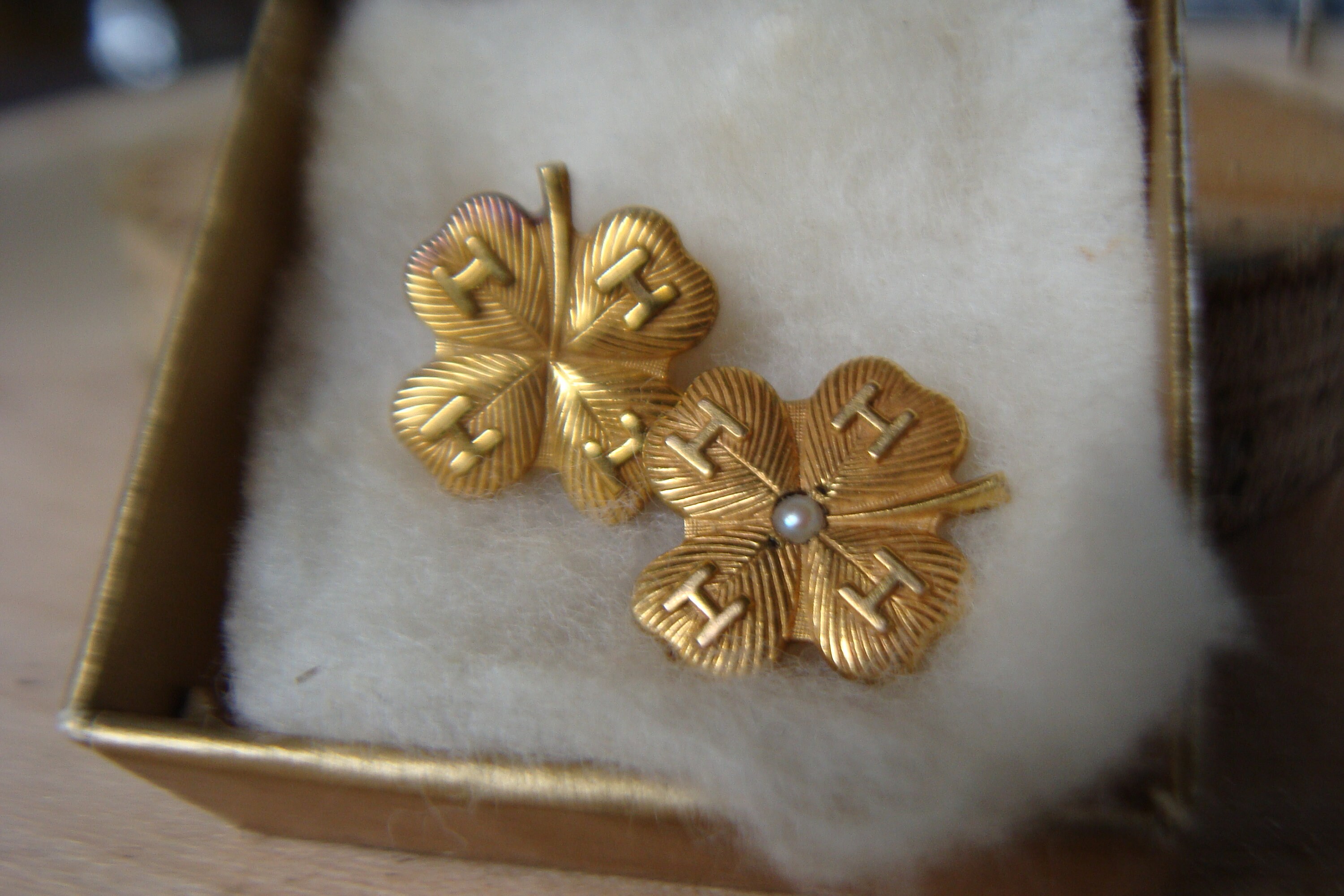 Pair 4 H Clover Pins Marked V10 10K One With Pearl in Box - Etsy