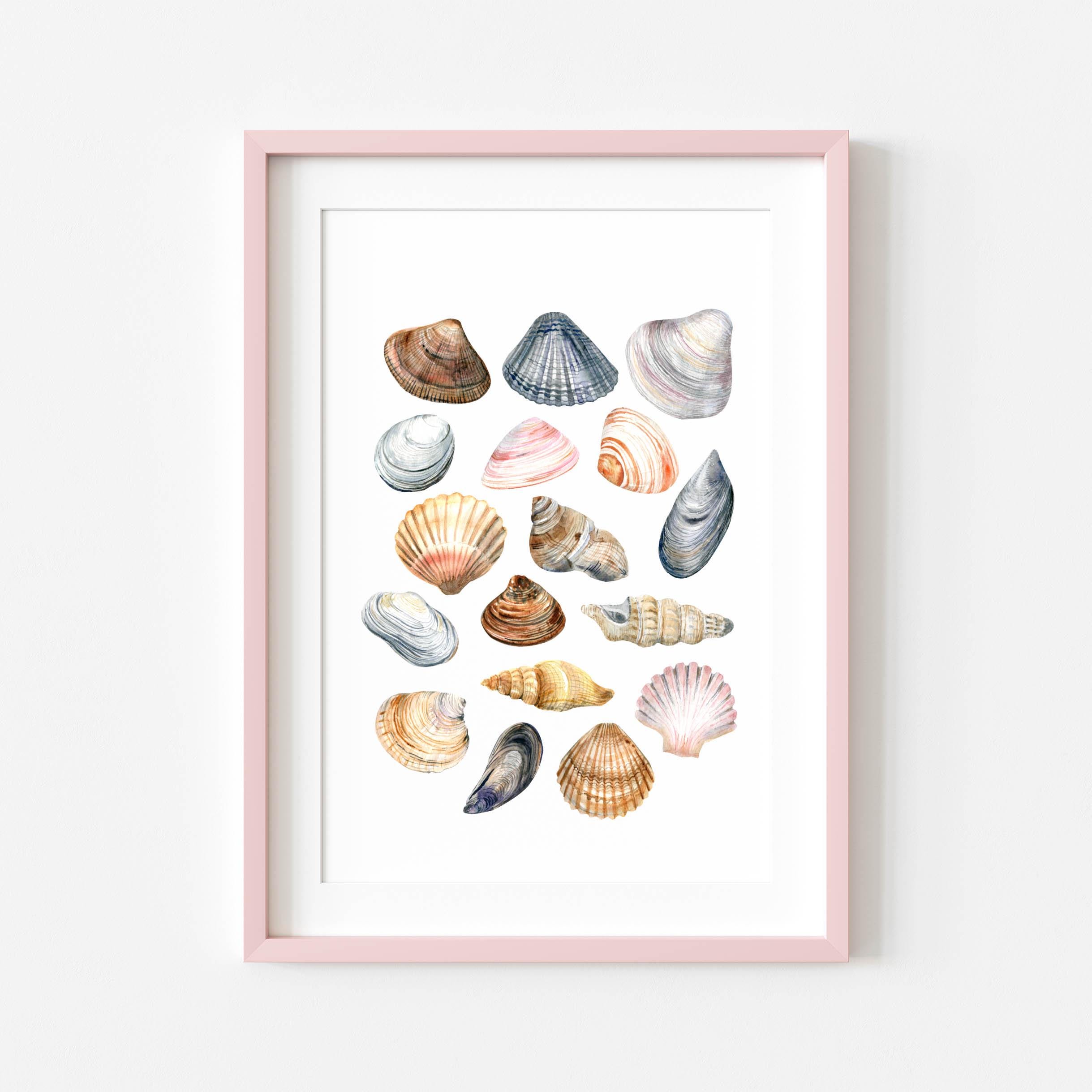 Seashells Watercolour Coastal Summer Unframed Wall Art Poster Print ...