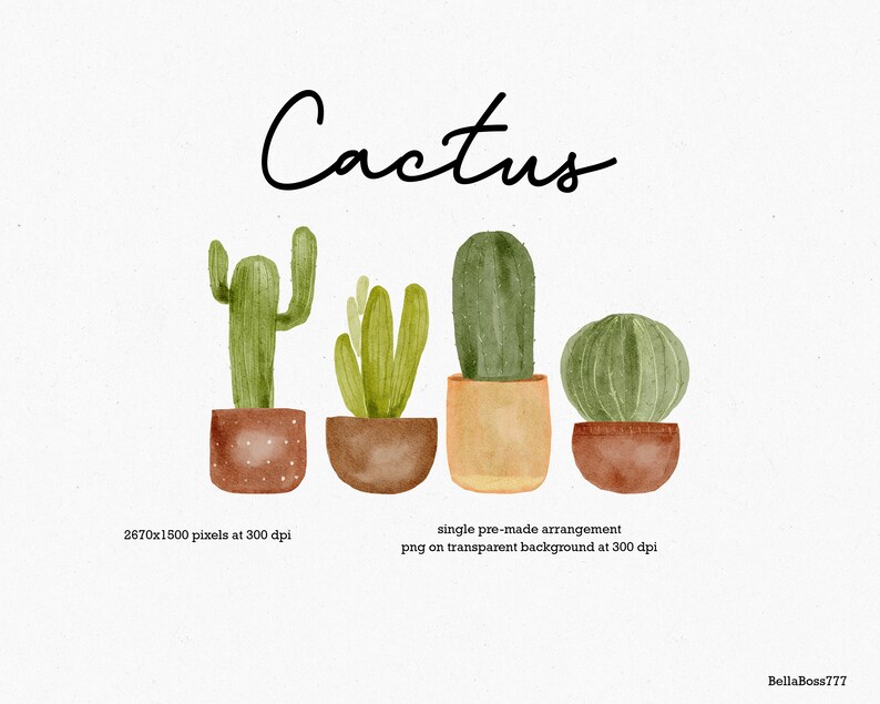 Cactus Clipart, Succulents Clipart, Cactus Pots, Terracotta Plant Pots ...