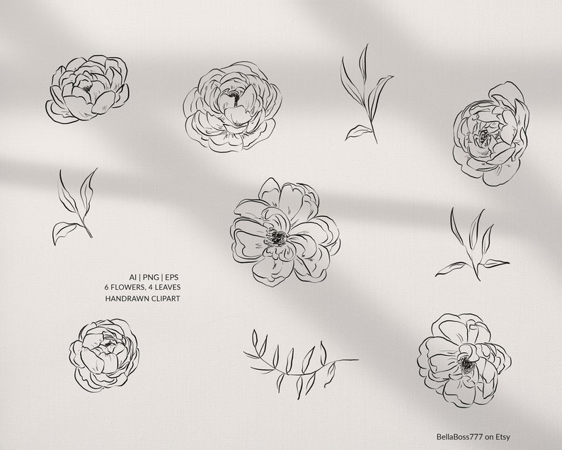 Peonies Line Art, Peonies Clipart, Fine Art Flowers, Floral Line Art ...