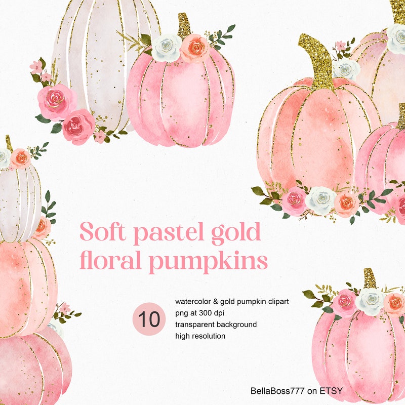 Pink Pumpkin Clipart - Etsy