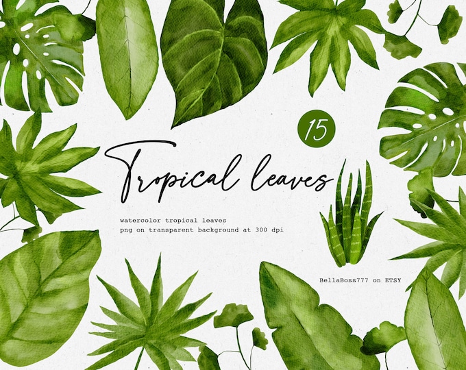 Tropical Leaves, Leaves Clipart, Botanical Clipart, Greenery Clip Art ...