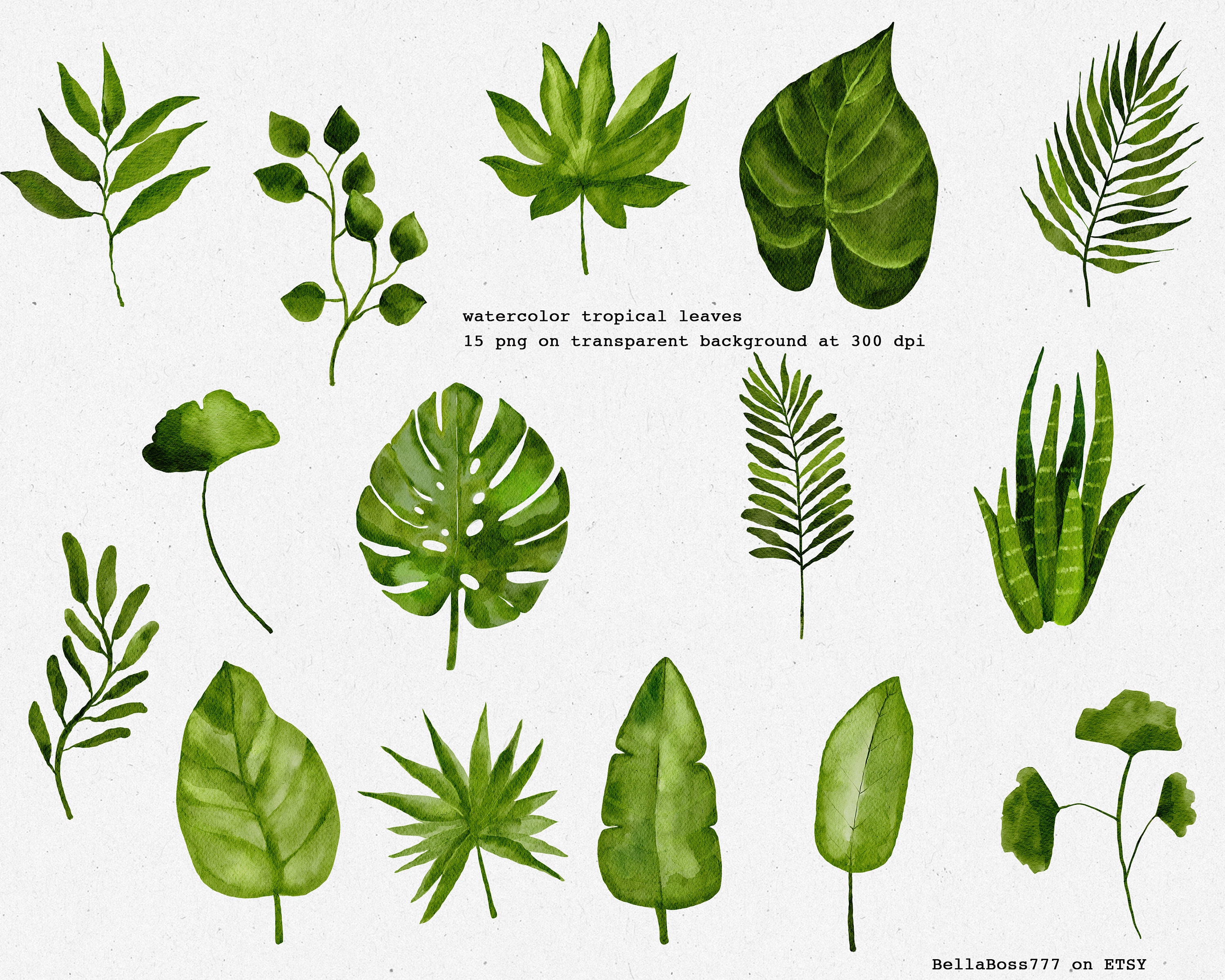 Tropical Leaves Leaves Clipart Botanical Clipart Greenery - Etsy