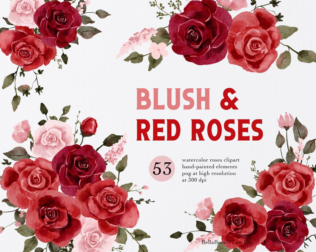Watercolor Roses, Red Roses, Floral Clipart, Flower Bouquet, Blush ...