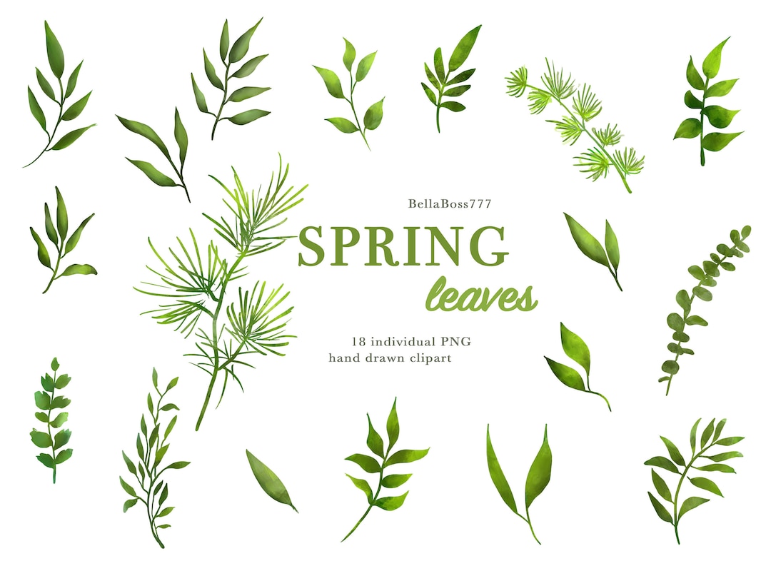 Green Leaves, Botanical Foliage Clipart, Greenery Wedding Clip Art ...