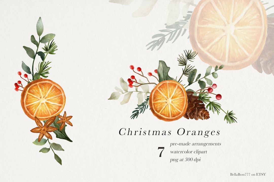 Watercolor Oranges, Christmas Bouquets, Christmas Clipart, Orange ...