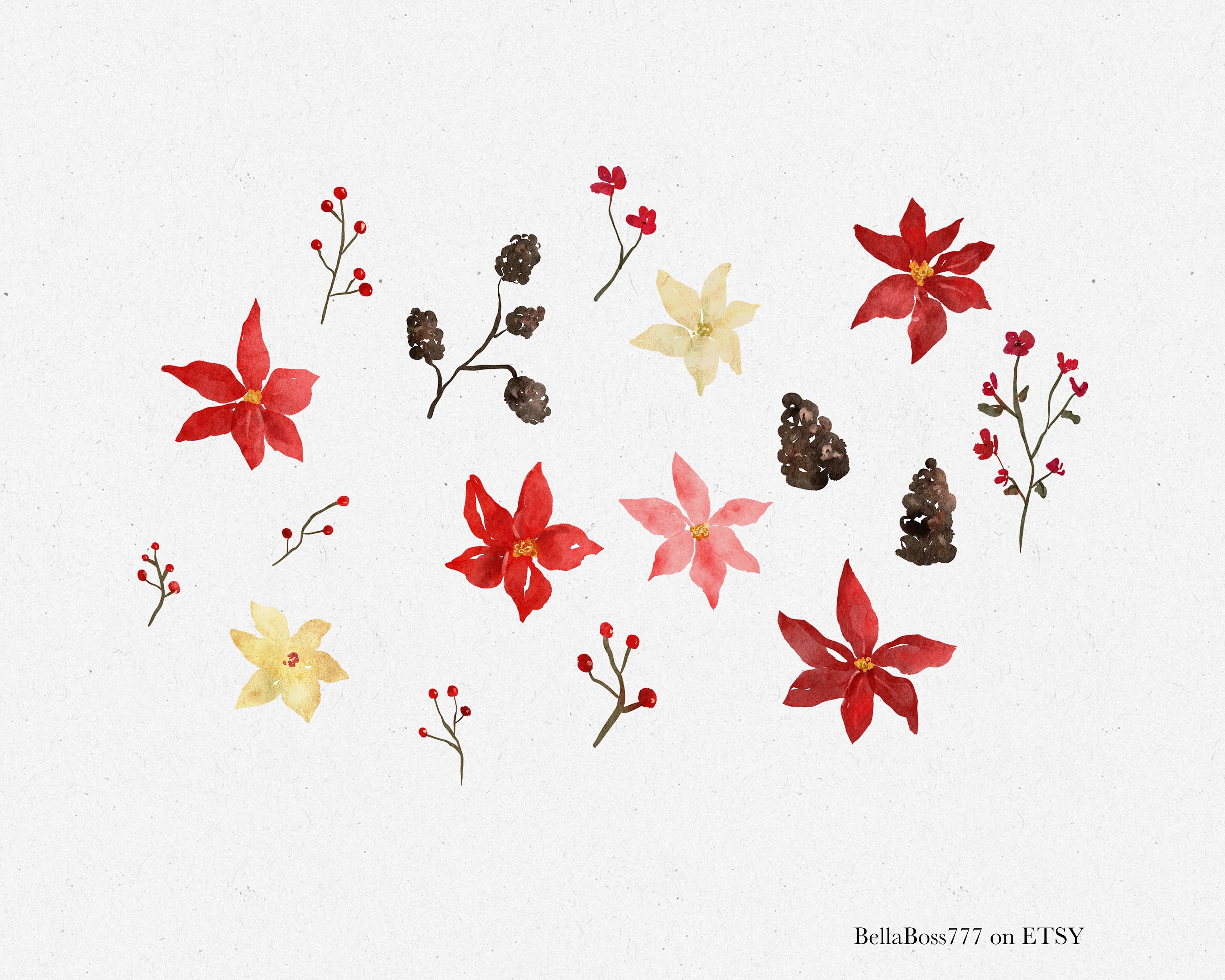 Christmas Clipart, Watercolor Christmas, Poinsettia Clipart, Holiday ...