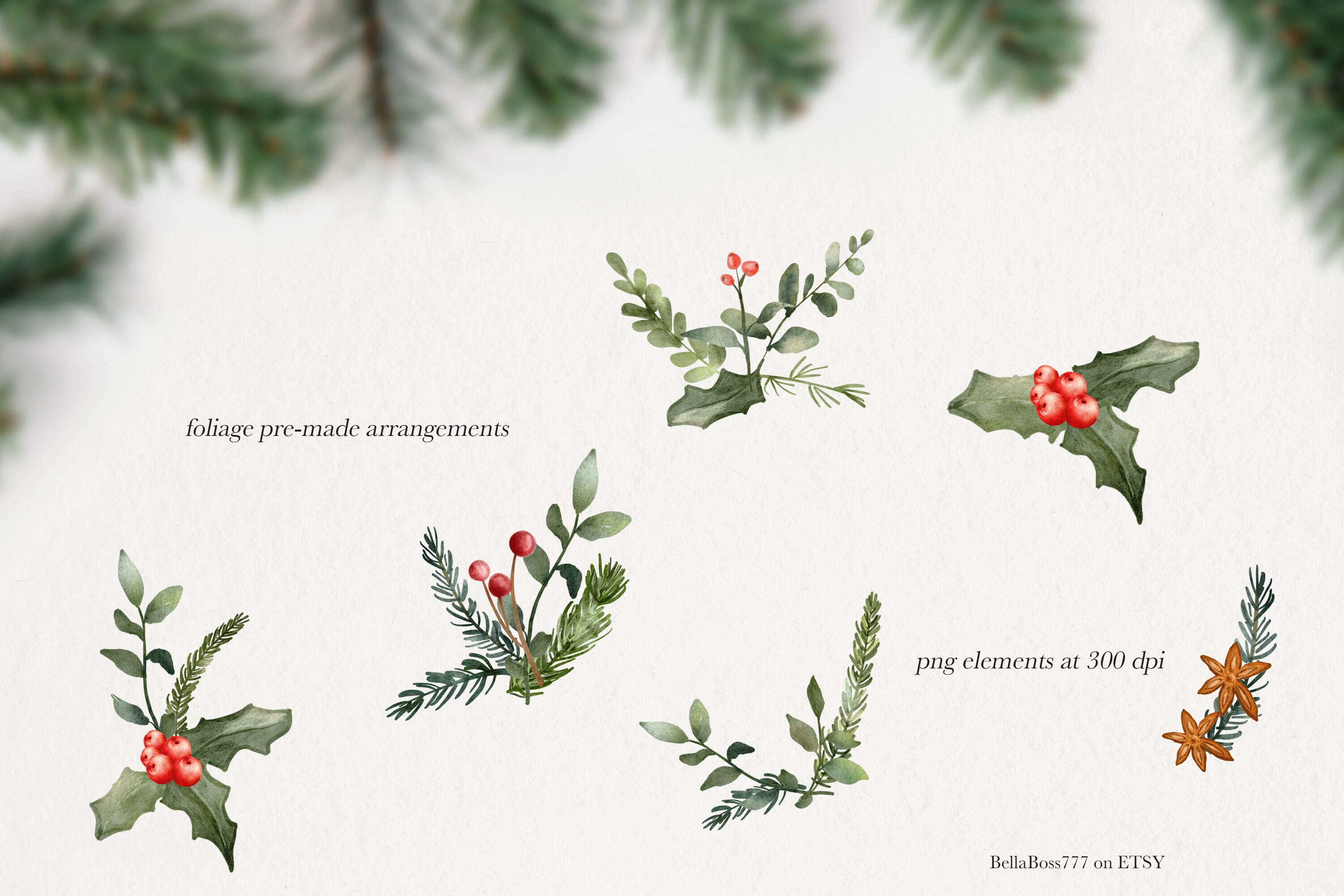 Christmas Clipart, Winter Clipart, Botanical Clipart, Greenery Clipart ...