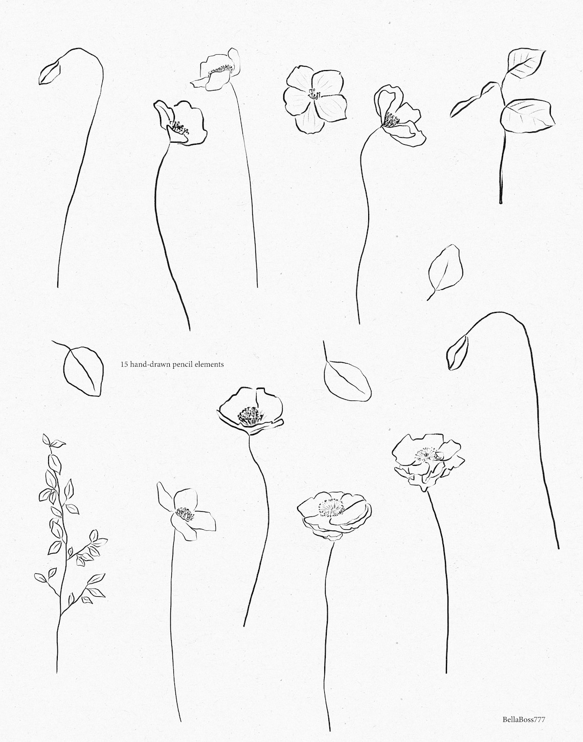 Floral Line Art Line Art Clipart Fine Art Flower Botanical | Etsy