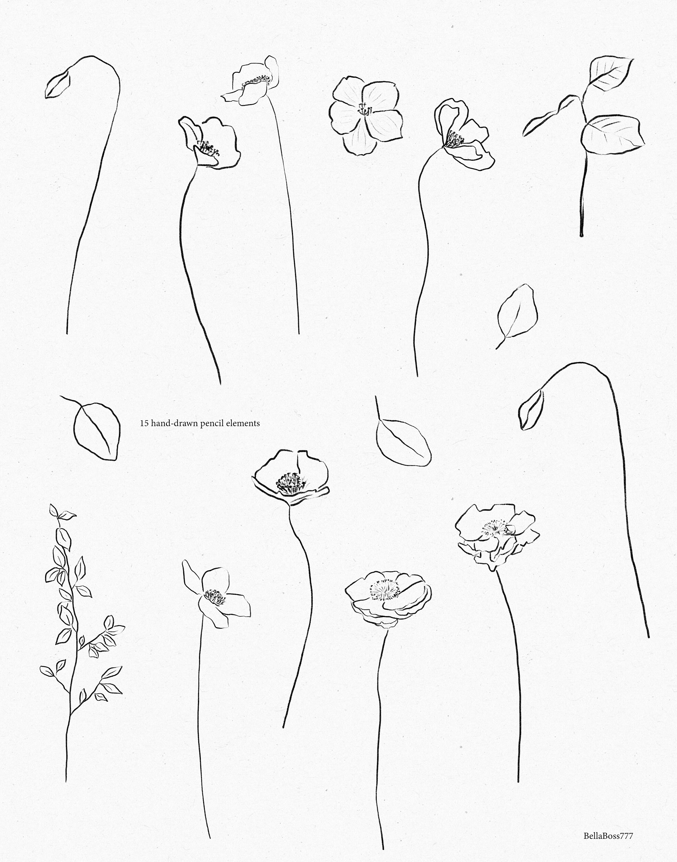 Floral Line Art Line Art Clipart Fine Art Flower Botanical - Etsy