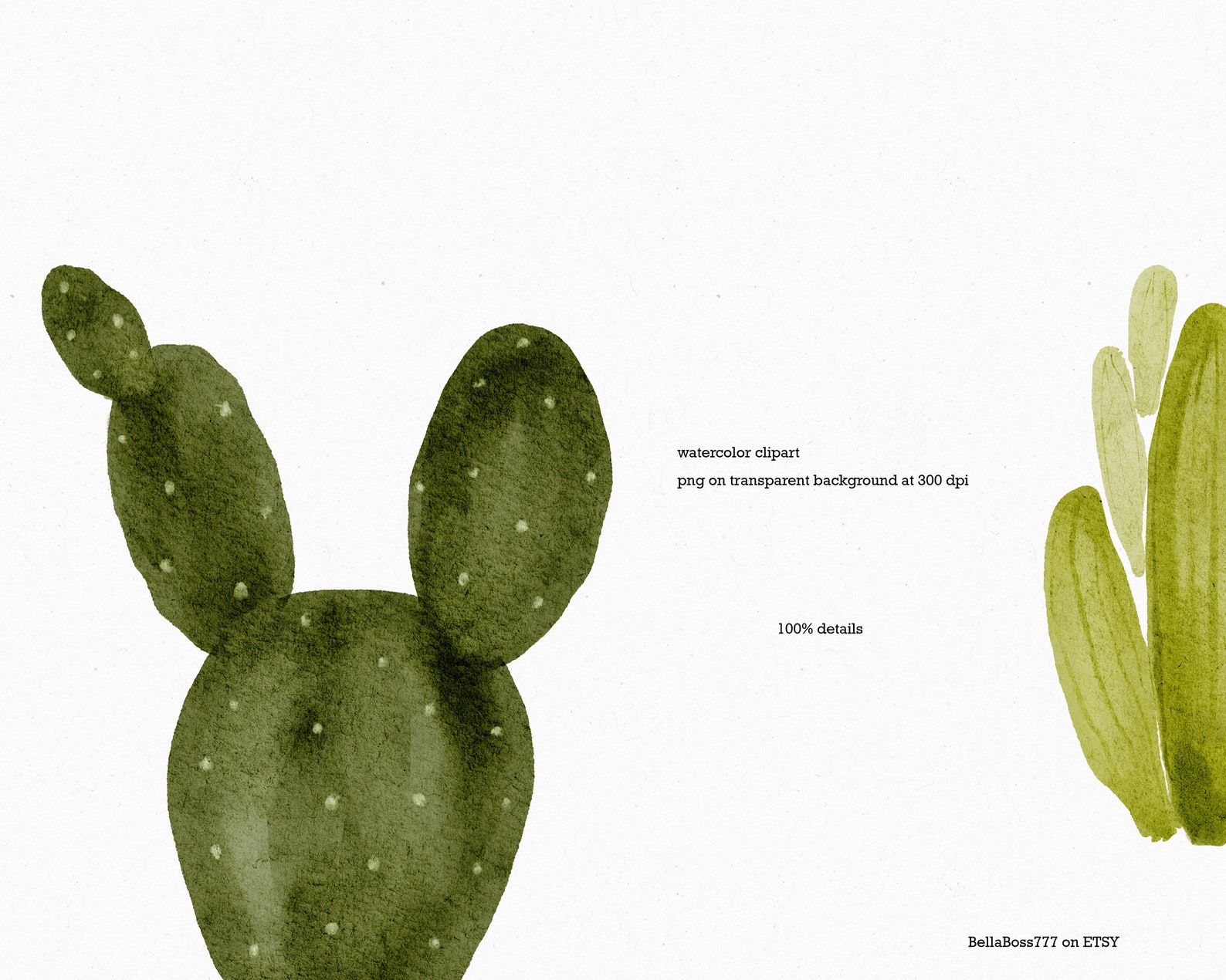 Watercolor Clipart, Cactus Clipart, Succulents Clipart, Cactus Pots ...