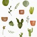 Watercolor Clipart, Cactus Clipart, Succulents Clipart, Cactus Pots ...