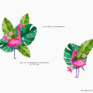 Flamingo Clipart Watercolor Flamingo Tropical Clipart - Etsy