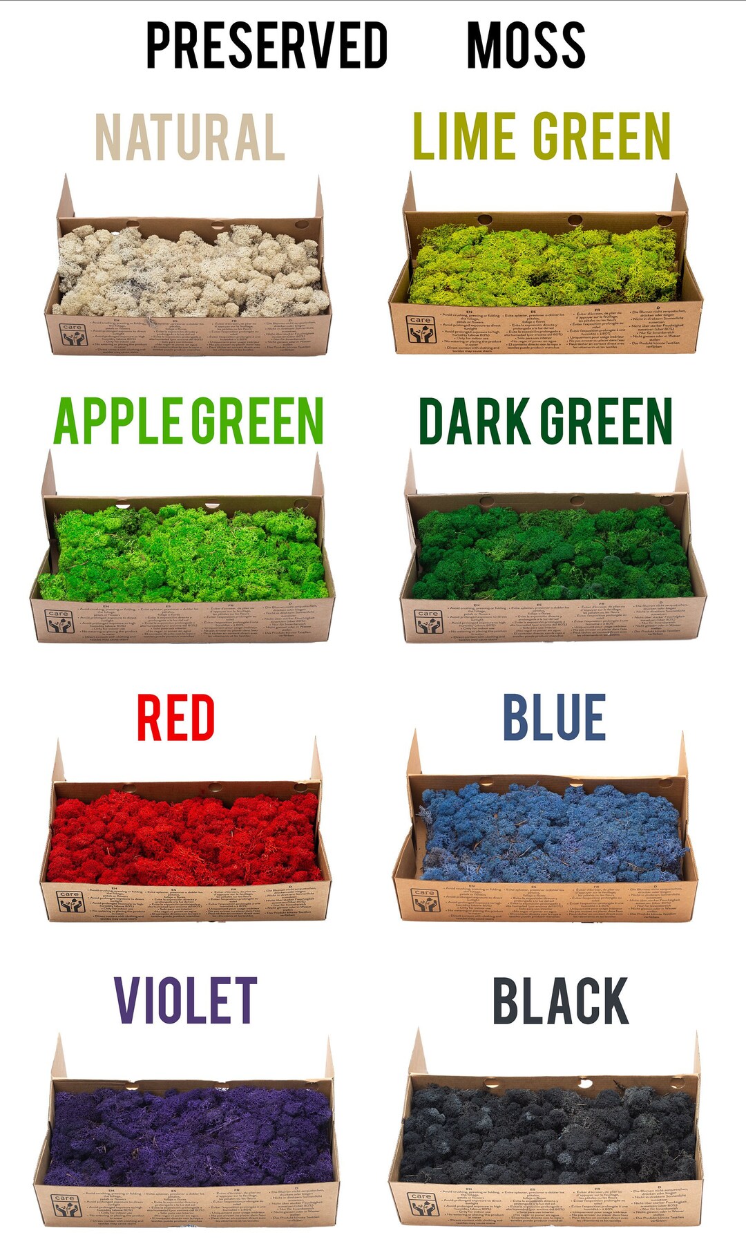 Preserved Stabilized Lichen Moss by Verdissimo Wholesale 8 Colors ...