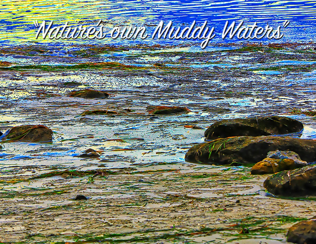 Rock Reflections on the Beach Wall Art for Home Office Decor, Sea and ...