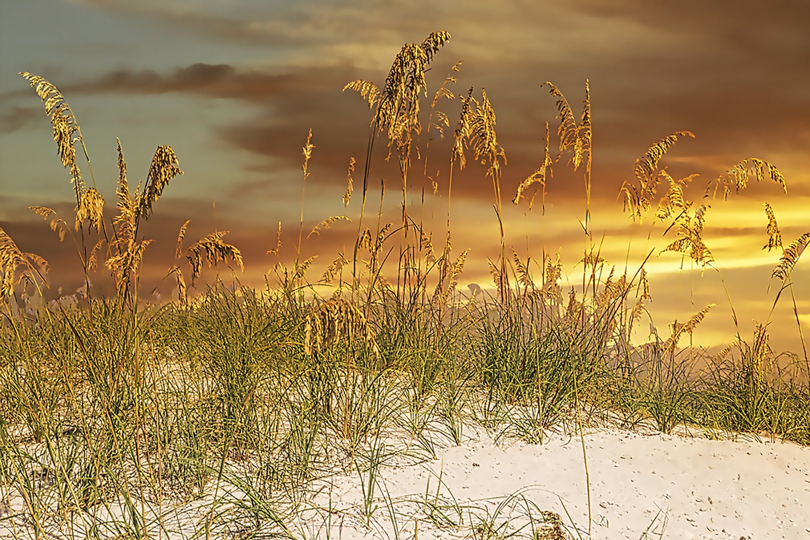 Seascape Sunset Painting Fine Art Sunset Coastal Beach With Sand Dunes ...