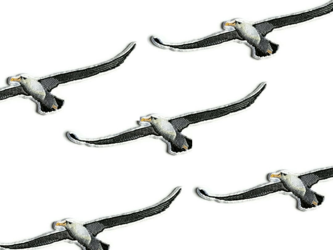 Albatross Realistic Patch, Sea Bird Design, Machine Embroidery - Etsy