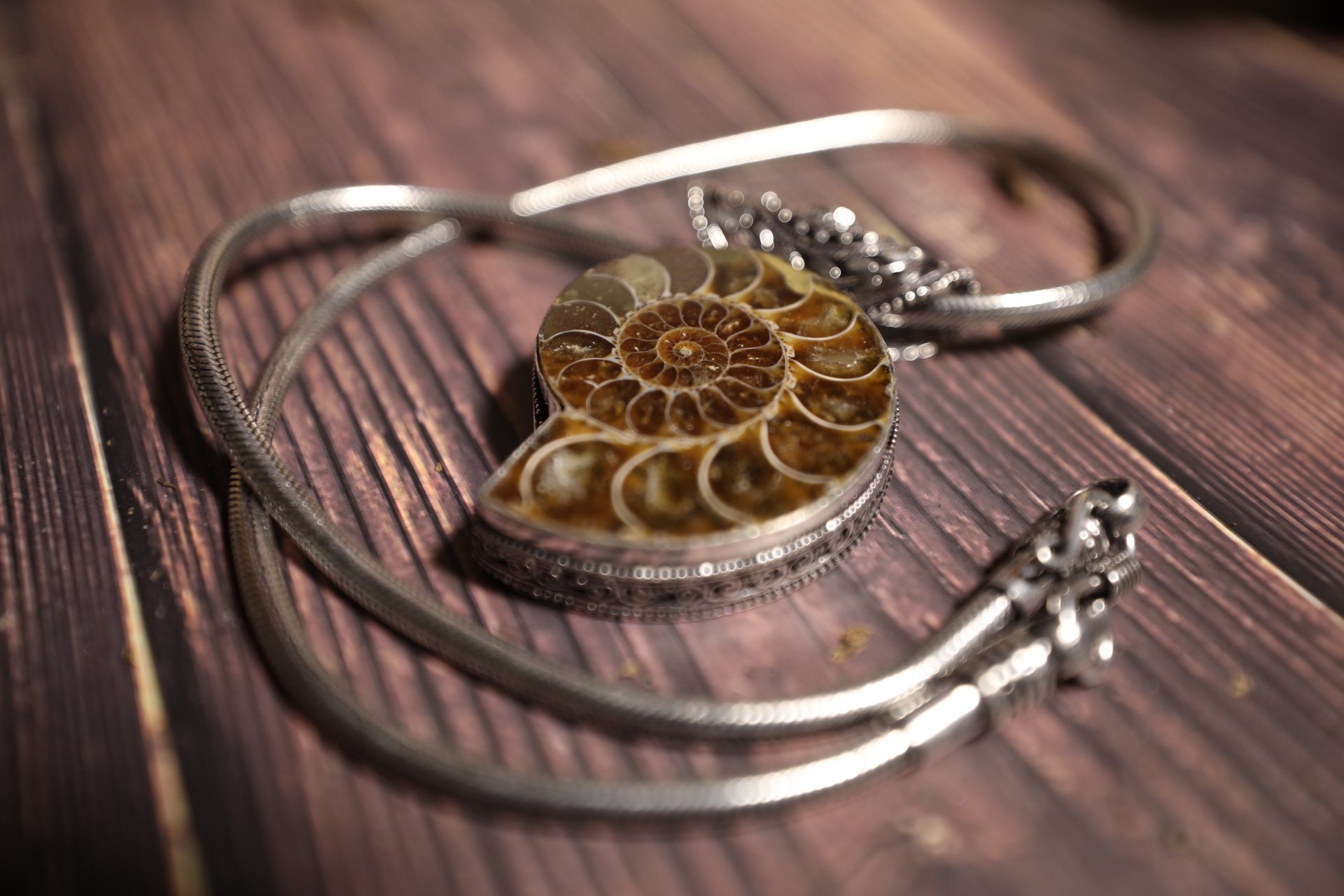 Nautilus Shell Sacred Geometry Necklace Nautilus Shell Sacred Geometry Necklace