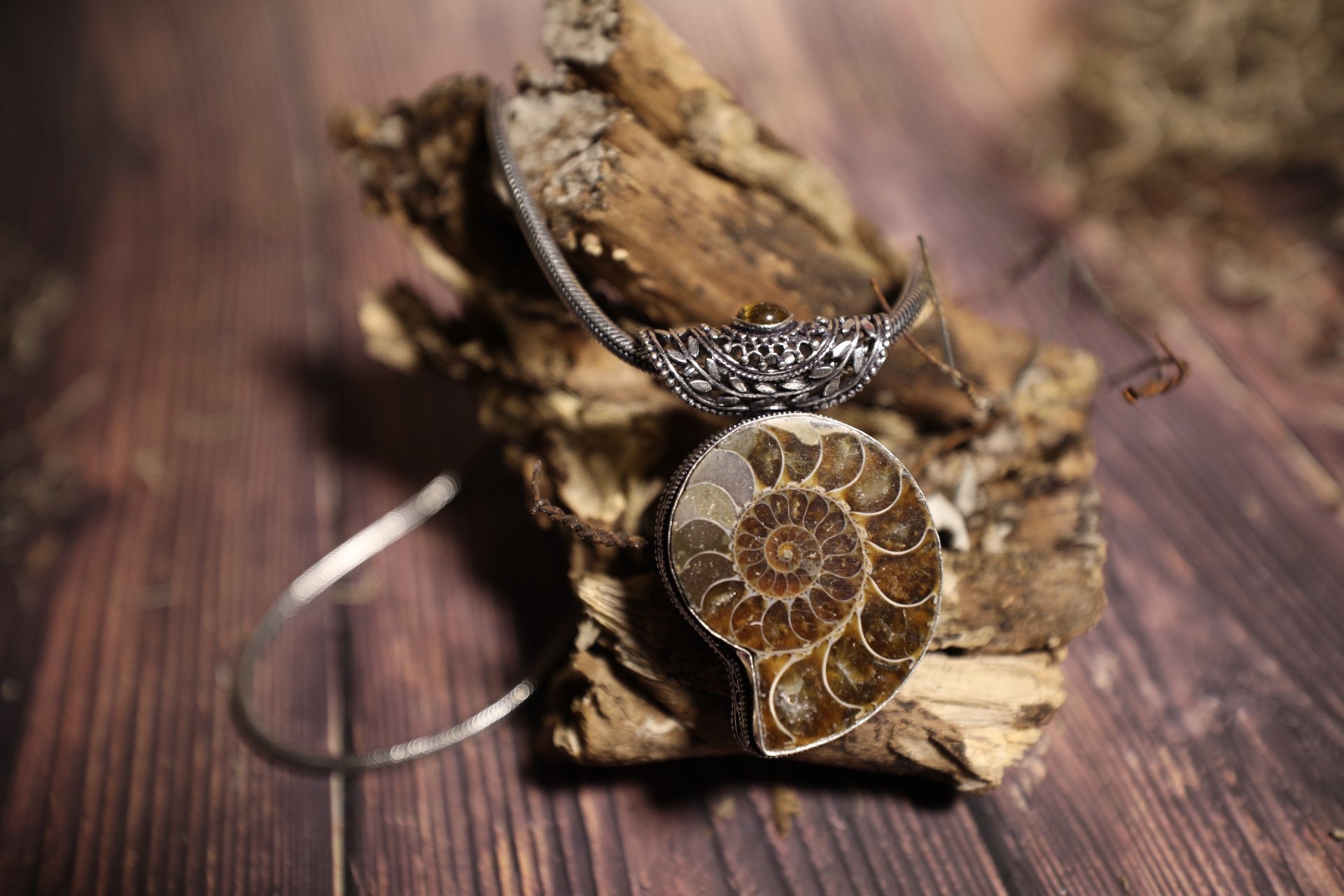 Nautilus Shell Sacred Geometry Necklace Nautilus Shell Sacred Geometry Necklace