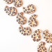 Leopard Print Sugar Cookies (1 Dozen) - Etsy