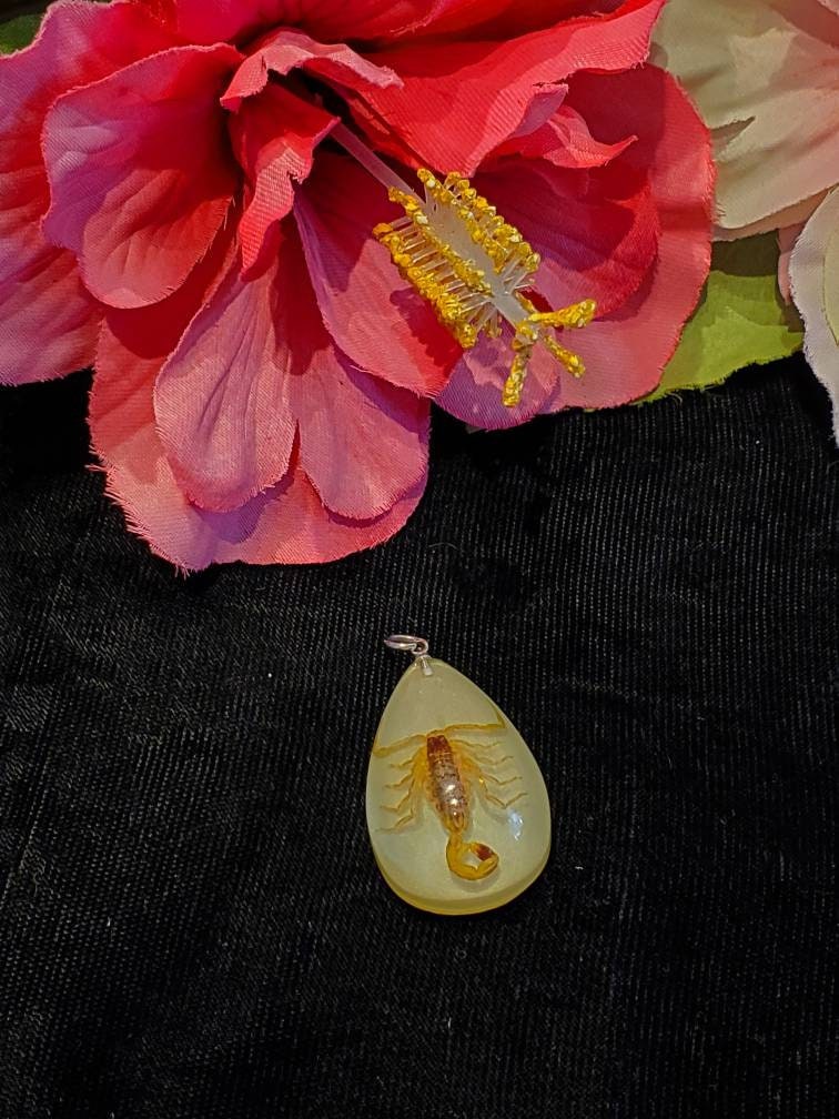 Vintage Lucite Scorpion Pendant Scorpion Jewelry Scorpion | Etsy