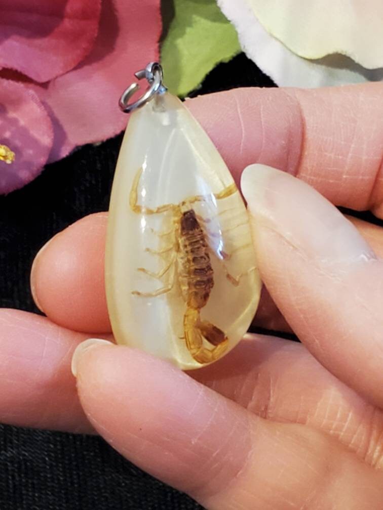 Vintage Lucite Scorpion Pendant Scorpion Jewelry Scorpion | Etsy