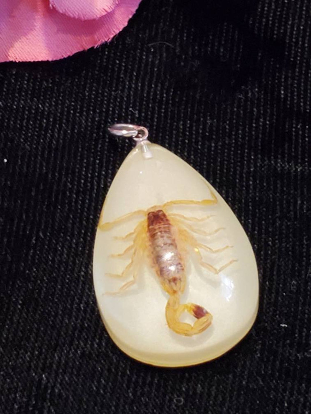 Vintage Lucite Scorpion Pendant, Scorpion Jewelry, Scorpion Giftware ...