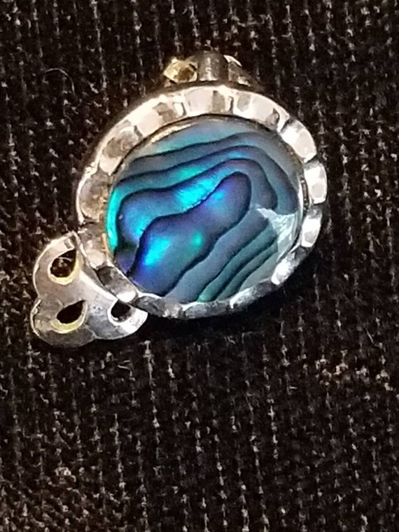 Vintage New Zealand Abalone Paua Shell Brooch Clip On… - Gem