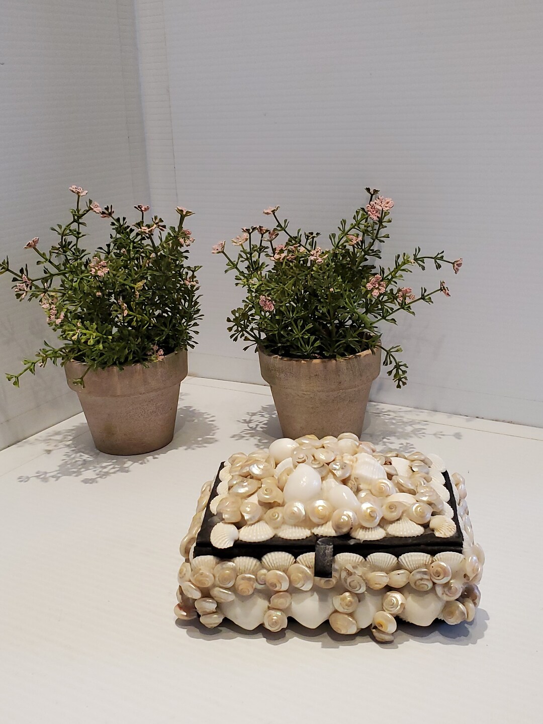 Vintage Seashell Jewelry Box, Seashell Decor, Seashell Art, Seashell ...