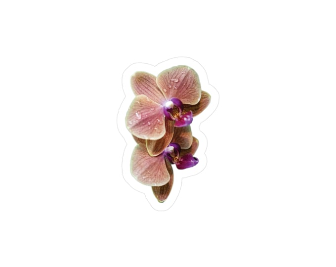 Orchid Decal, Orchid Sticker, Flower Decal, Flower Sticker, Laptop ...